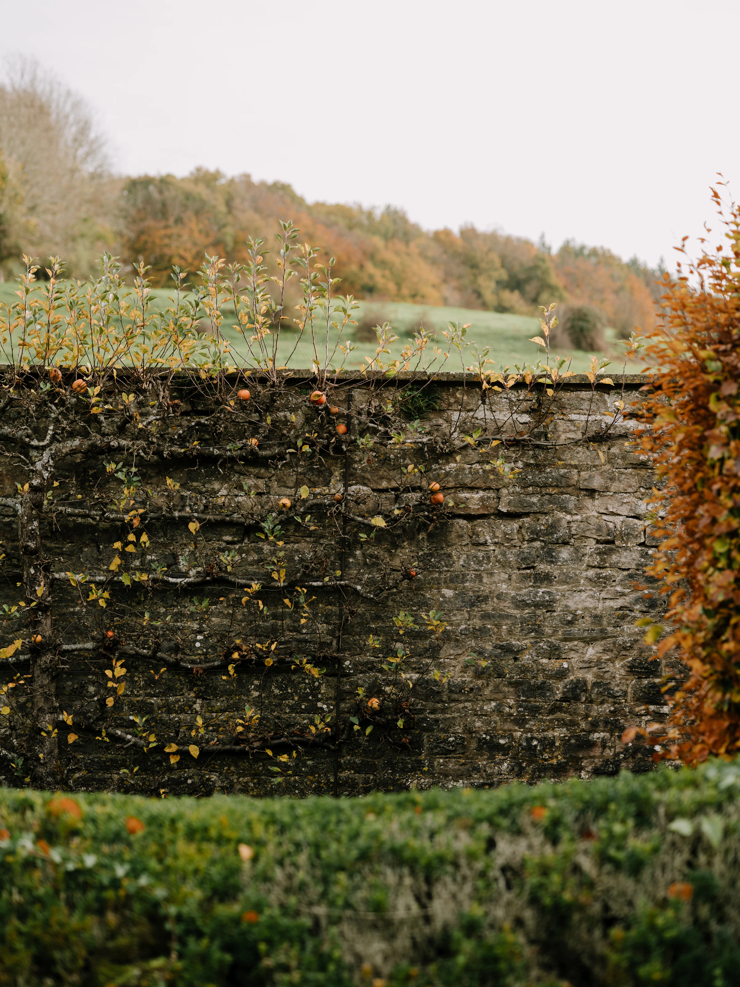 Village Hotel & Restaurant near Salisbury | Teffont House